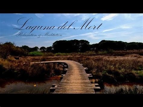 Reflections On Life And Nature Quotes Along The Path That Leads To One