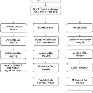 Flowchart For Data Analysis And Model Establishment In This Study Both Download Scientific