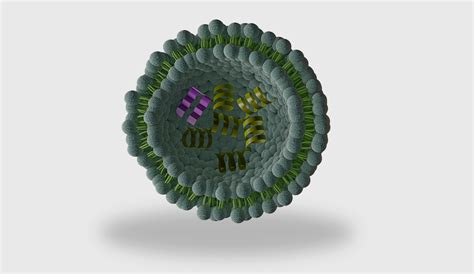 3d Cell Illustration
