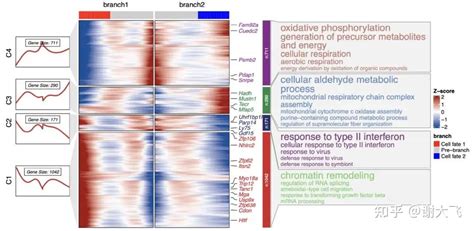 Monocle2拟时序分析 笔记 知乎