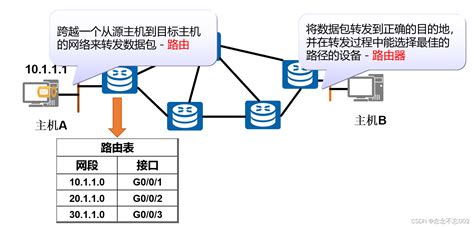 爆肝一万七千字，计算机网络，路由技术 根据手动配置或自动学习两种不同的方式 csdn博客