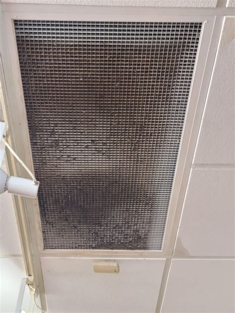 Raising Shower Head By Using A Sharkbite Coupler A Bad Idea Rdiy