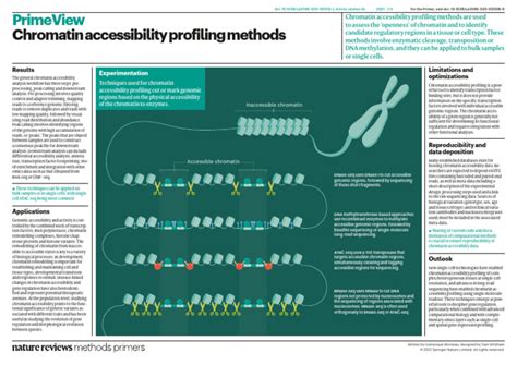 Chromatin Accesibility Methods Pdf Chromatin Sequencing
