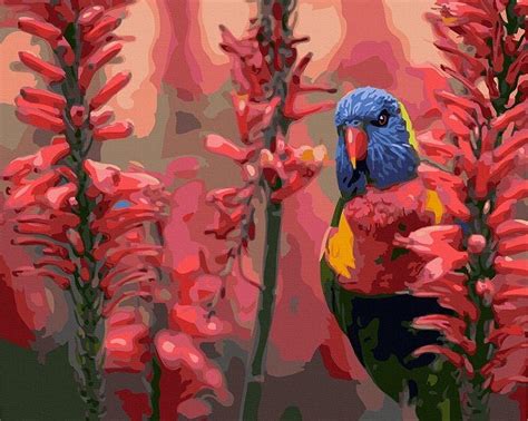 Tapyba Pagal Skaičius Papūga Patogupirktilt