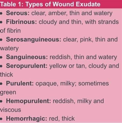 Nursing Documentation Discover 11 Nursing Documentation Examples Ideas