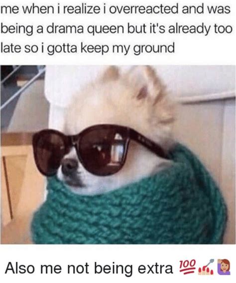 What Does Being Extra Mean Slang Meaning Origin And Best Funny Memes