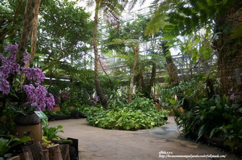 The Botanical Killer Criminal Case Official Fan Fiction Wiki Fandom