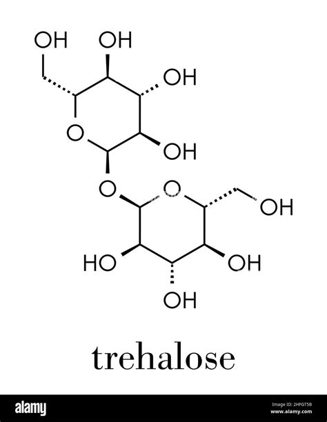 Trehalose Sugar