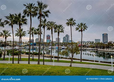 Downtown Long Beach At Sunrise Stock Image Image Of County Natural