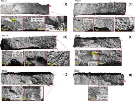 Fracture Surfaces Of Prints 1 3 And 4 Fatigue Specimens In A C
