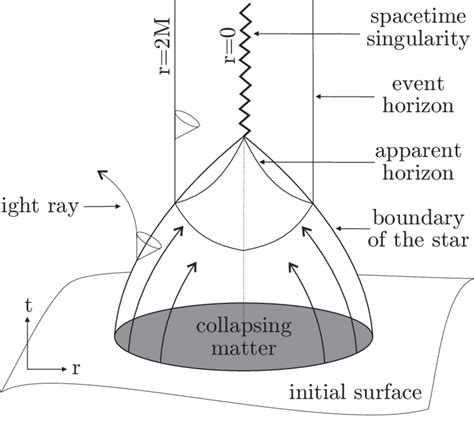 The Gravitational Collapse Of A Spherically Symmetric Homogeneous Dust