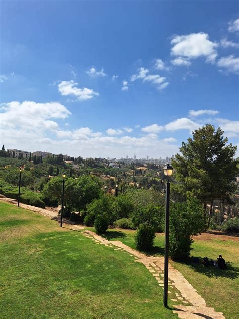 אמיר שמאי ‎אמיר שמאי‎ Added A New Photo