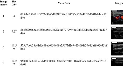 Sample Of Metadata For 10 Images Download Scientific Diagram