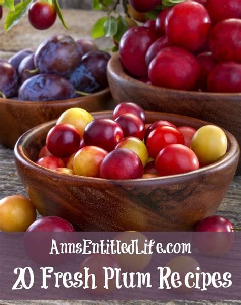 20 Fresh Plum Recipes Savor The Sweet Flavor Of Fresh Plums With These
