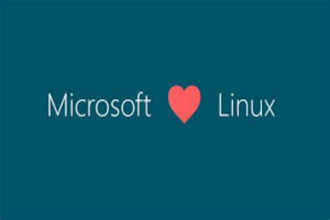 How To Setup And Install WSL 2 On Windows 10 11 Hawkdive Com