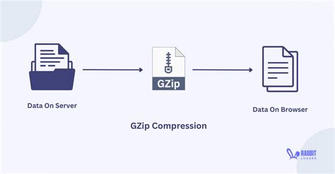 Brotli Vs Gzip Compression Which Is Better For Websites Pagespeed