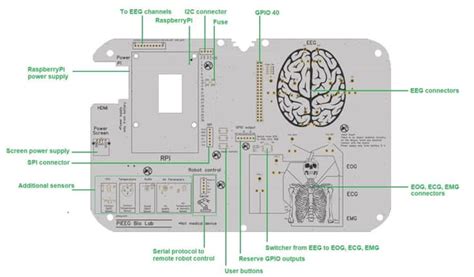 DIY Neuroscience Meet The Open Source PiEEG Kit For Brain And Body Signals