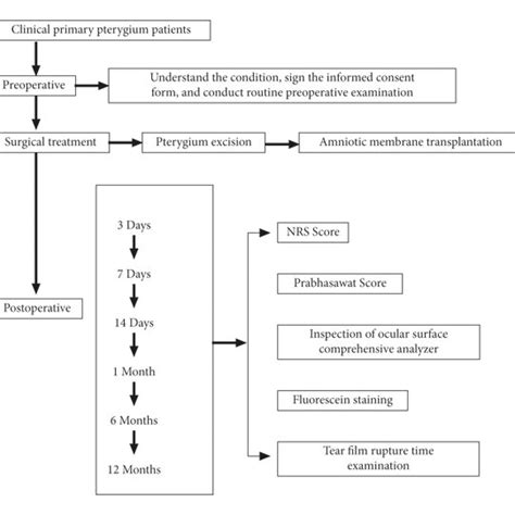 A Flowchart Of Patient Selection And Research Methods Download