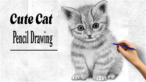 How To Draw A Cute Realistic Cat