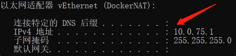 本地navicat连接docker里的mysqlnavicat怎么查询mysql的ip地址 Csdn博客