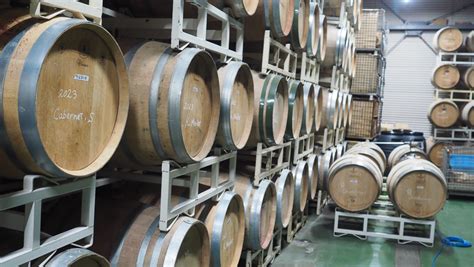 Exploring Japanese Wine 6 Visiting Tamba Wine In Kyoto