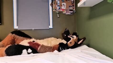 Fursuit Watersports Compilation 1 Eporner