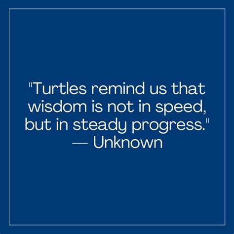 170 Inspirational Turtle Quotes For A Mindful Life Sandjest Ts