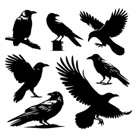 Set Of Crow Silhouette Vector On A White Background Premium Ai