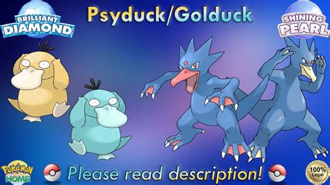 Shiny Non Shiny Psyduck Golduck 6iv Brilliant Diamond Shining Pearl 100