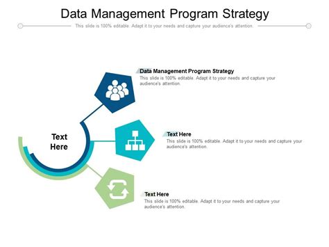 Data Management Program Strategy Ppt Powerpoint Presentation Inspiration Show Cpb Pdf