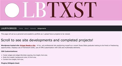 Dmi Program Txst Lauryn Briggs