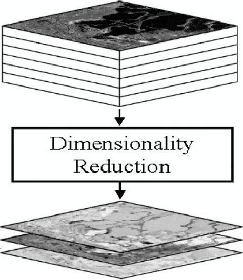 Dimensionality Reduction Lda Pca T Sne By Dadan Dahman W Howdy