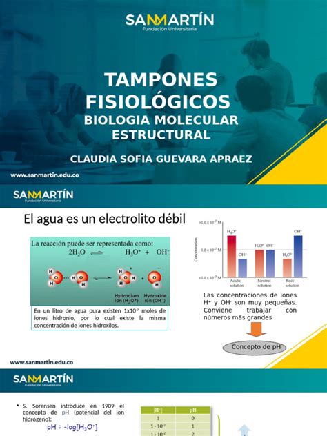 Buffers Fisiologicos 1 Pdf Solución Tampón Ph