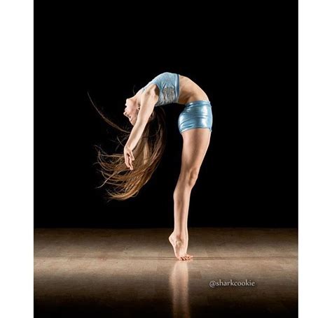 Beautiful Sharkcookie Photography 2015 Photography 2015 Sharkcookie