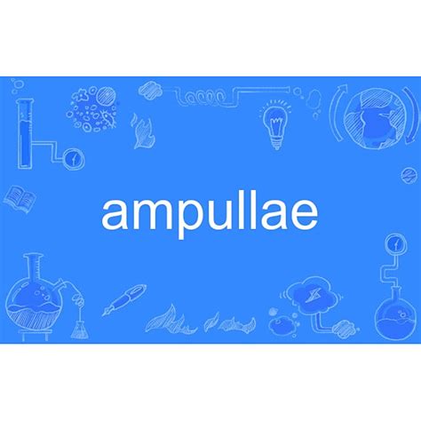 Ampullae百度百科