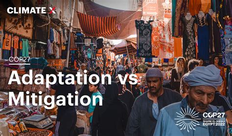 Climate Adaptation Versus Climate Mitigation