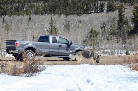 2013 F150 Xlt Supercab Long Bed Build Ford F150 Forum Community Of