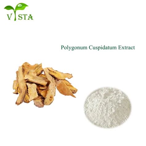 High Quality Polygonum Cuspidatum Extract 50 ~98 Resveratrol Powder