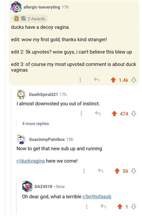 Duck Vagina R Awardspeechedits
