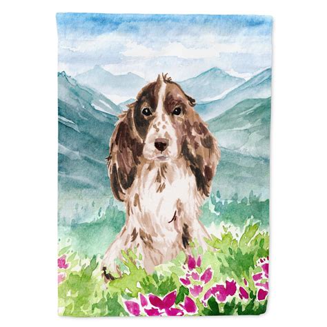 Carolines Treasures Ck1987gf Mountian Flowers Chocolate Parti Cocker