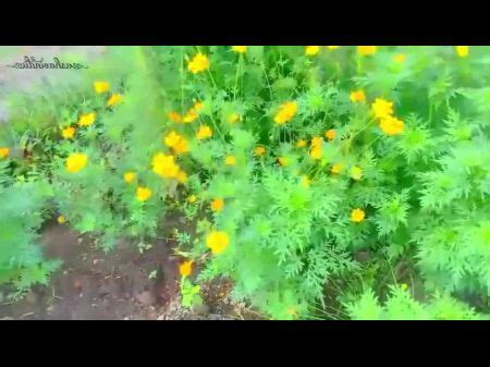 Indian Sex Film Sri Lanka Tamil Free Xxx Videos Watch Wonderful And