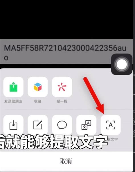 OCR 图片识别软件我只推荐这几个免费 付费满足你的所有需求手机和电脑 老郭种树