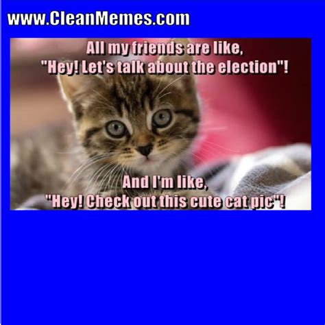 Clean Cat Memes