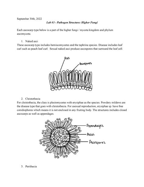 Lab 3 Pathogen Structures Higher Fungi September 30th 2022 Lab 3 Pathogen Structure