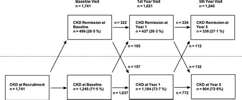 Flowchart Showing Numbers Of Participants Demonstrating Ckd And Ckd