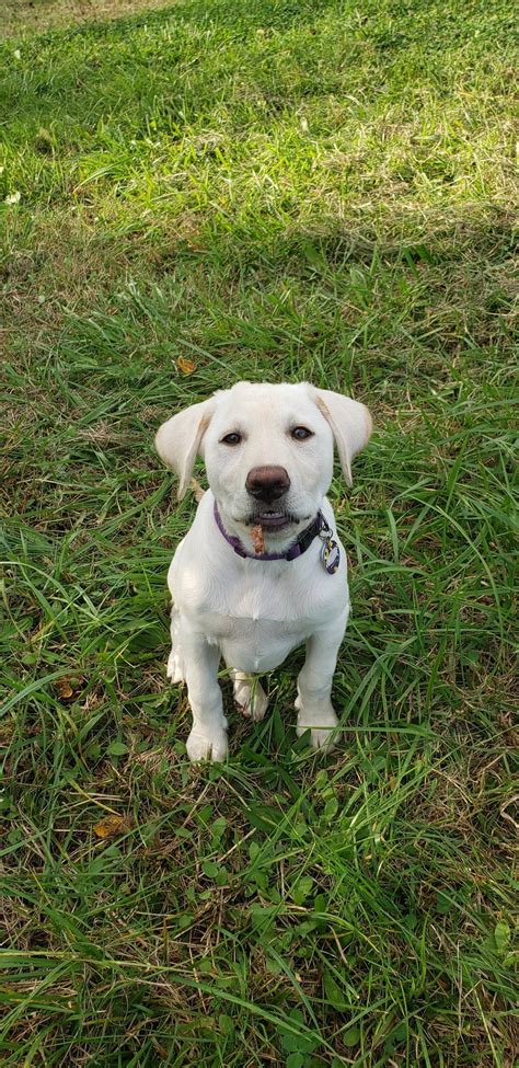The Face Mayella Makes When She Finds A Particularly Good Leaf Scrolller
