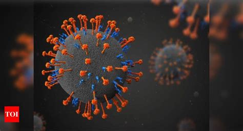 Researchers See Individual Virus Formation For The First Time Times