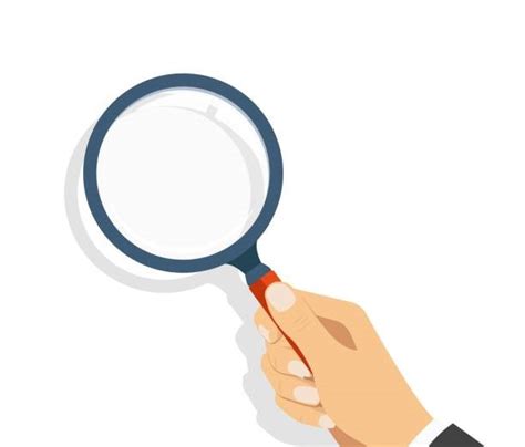 Sql İle Toplama Sum Ve Ortalama Avg Sorguları