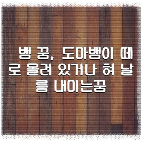 뱀 꿈 도마뱀이 떼로 몰려 있거나 혀 날름 내미는꿈