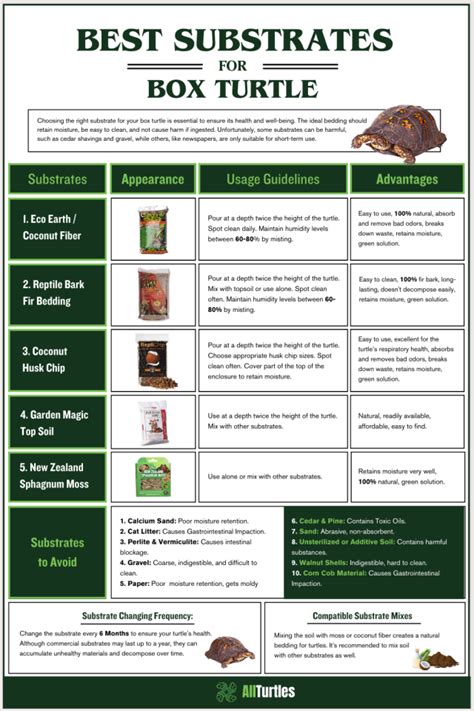 Aquatic Turtle Substrate At Beth Anker Blog